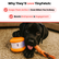 TinyFetch™ All-Day Buddy